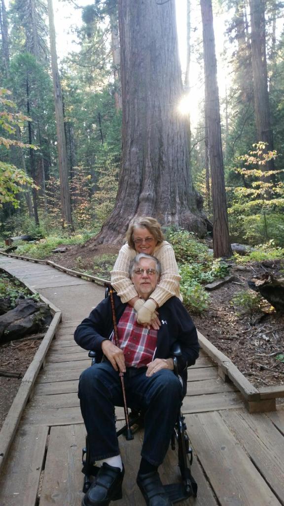 DenmanandDenman.com – Publishers of The Pink Tree Collective and prior ...